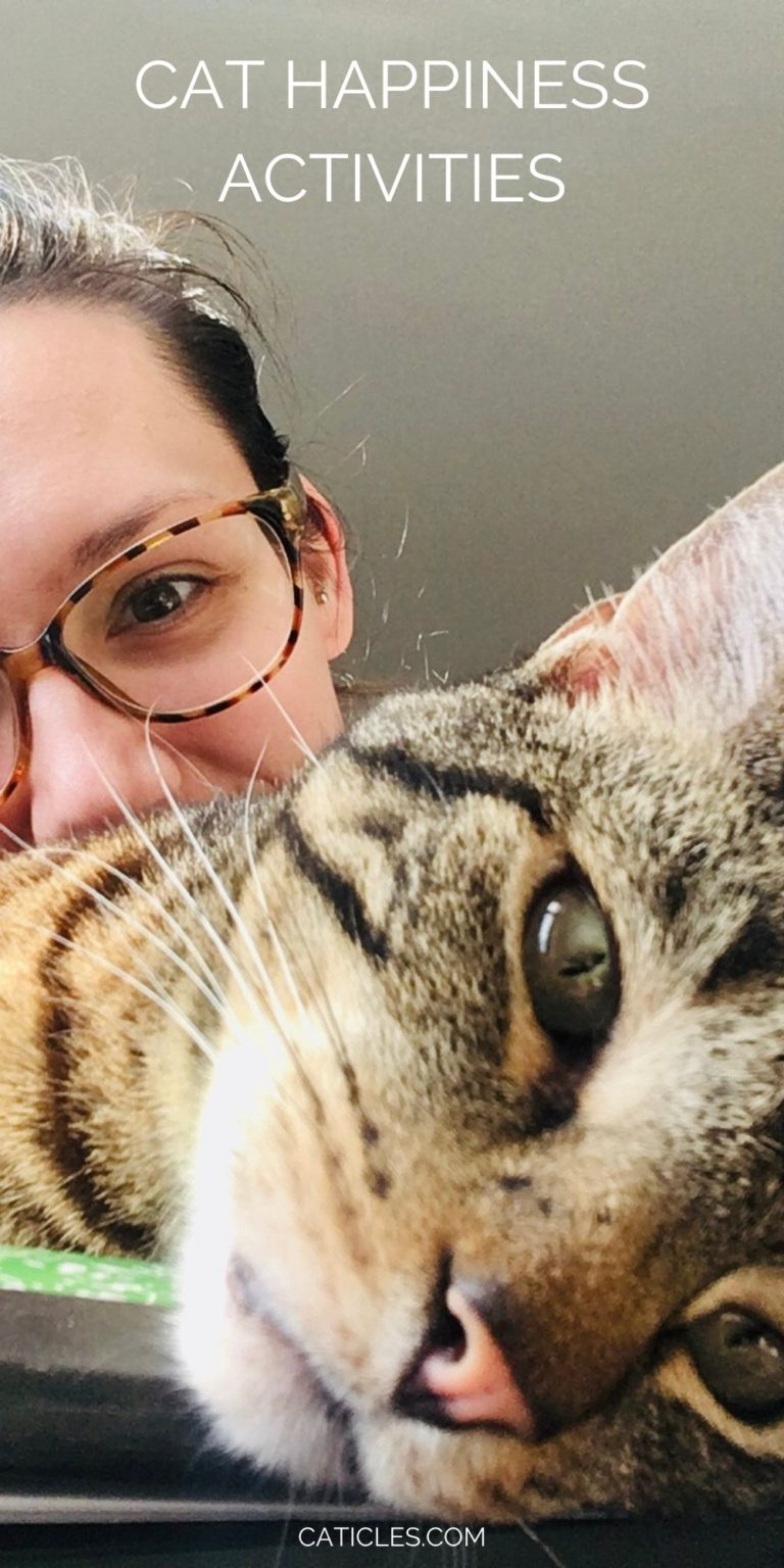 Strong Bond with Cat Guide 29 Ways to Make Your Cat Love You