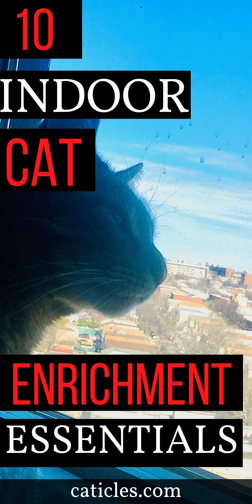 How to Make Your Cat Happy Indoors: 10 Enrichment Essentials - Caticles