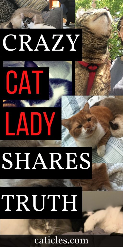 12 Loving Cats Taught Me These Important Things in Life - Caticles