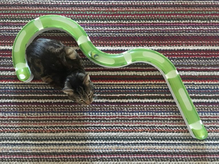 Active Cat Toys: 17 New Ways to Build Your Catit Senses 2.0 Play Circuit