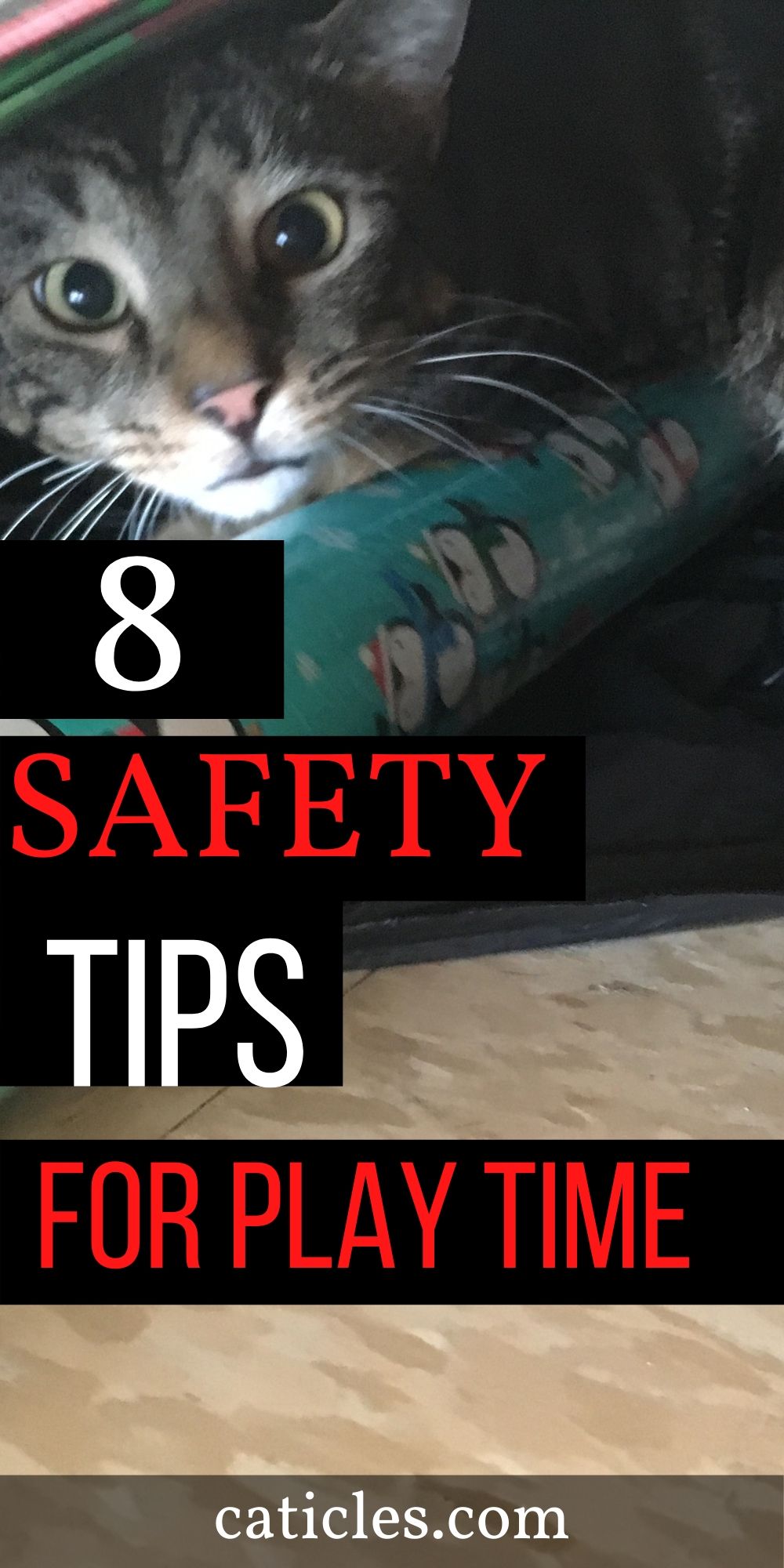 How to Play with Your Cat Safely: 8 Simple Tips - Caticles