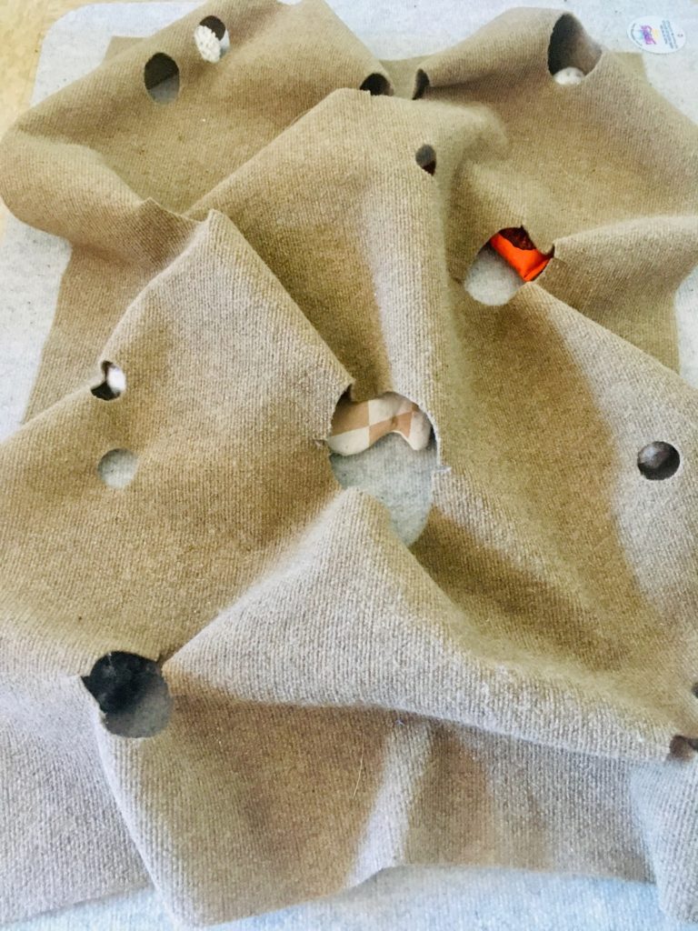 8 Safe Cat Toys and How to Play - Jess Caticles