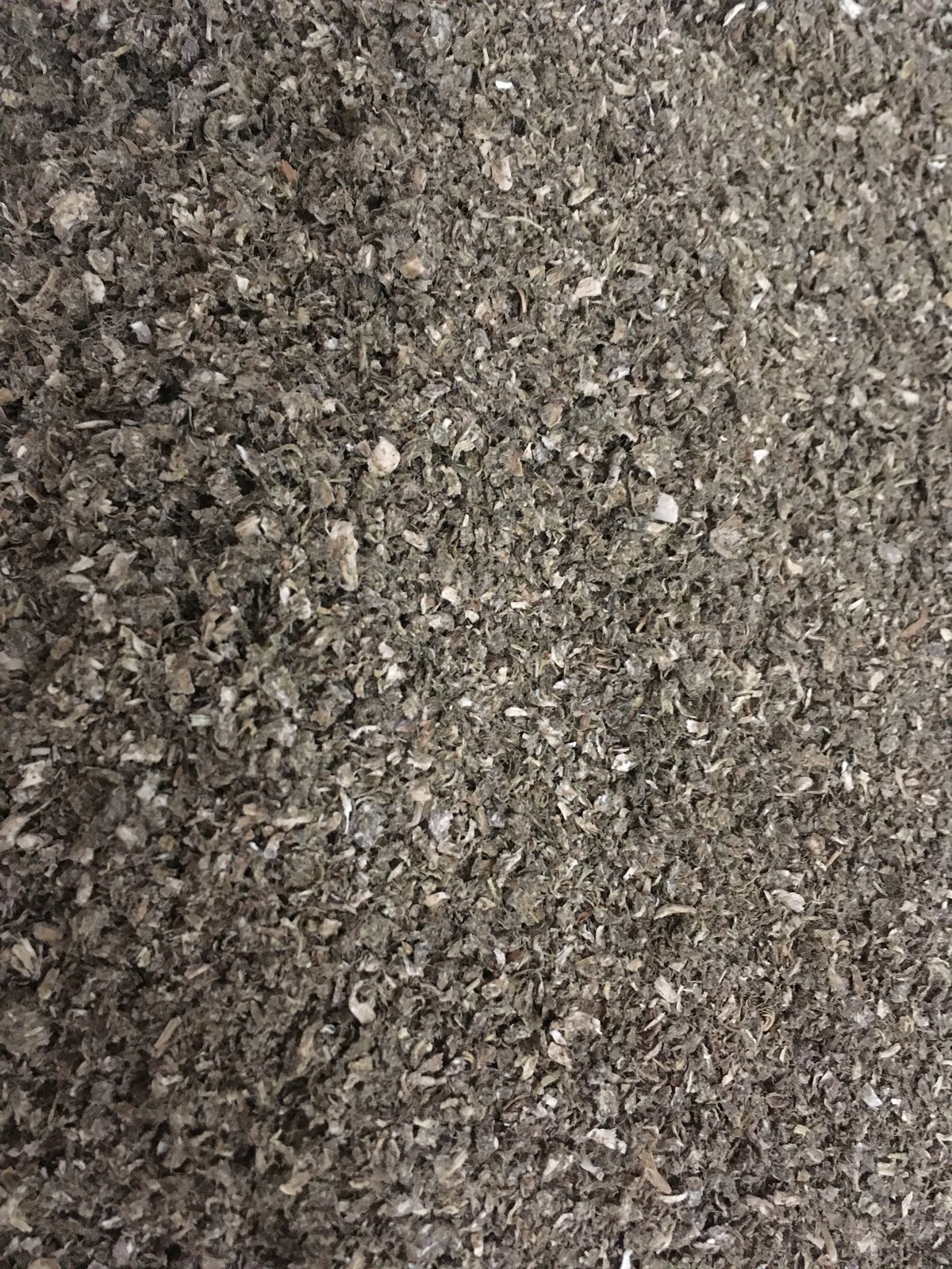 Is clumping litter bad for cats? - Jess Caticles