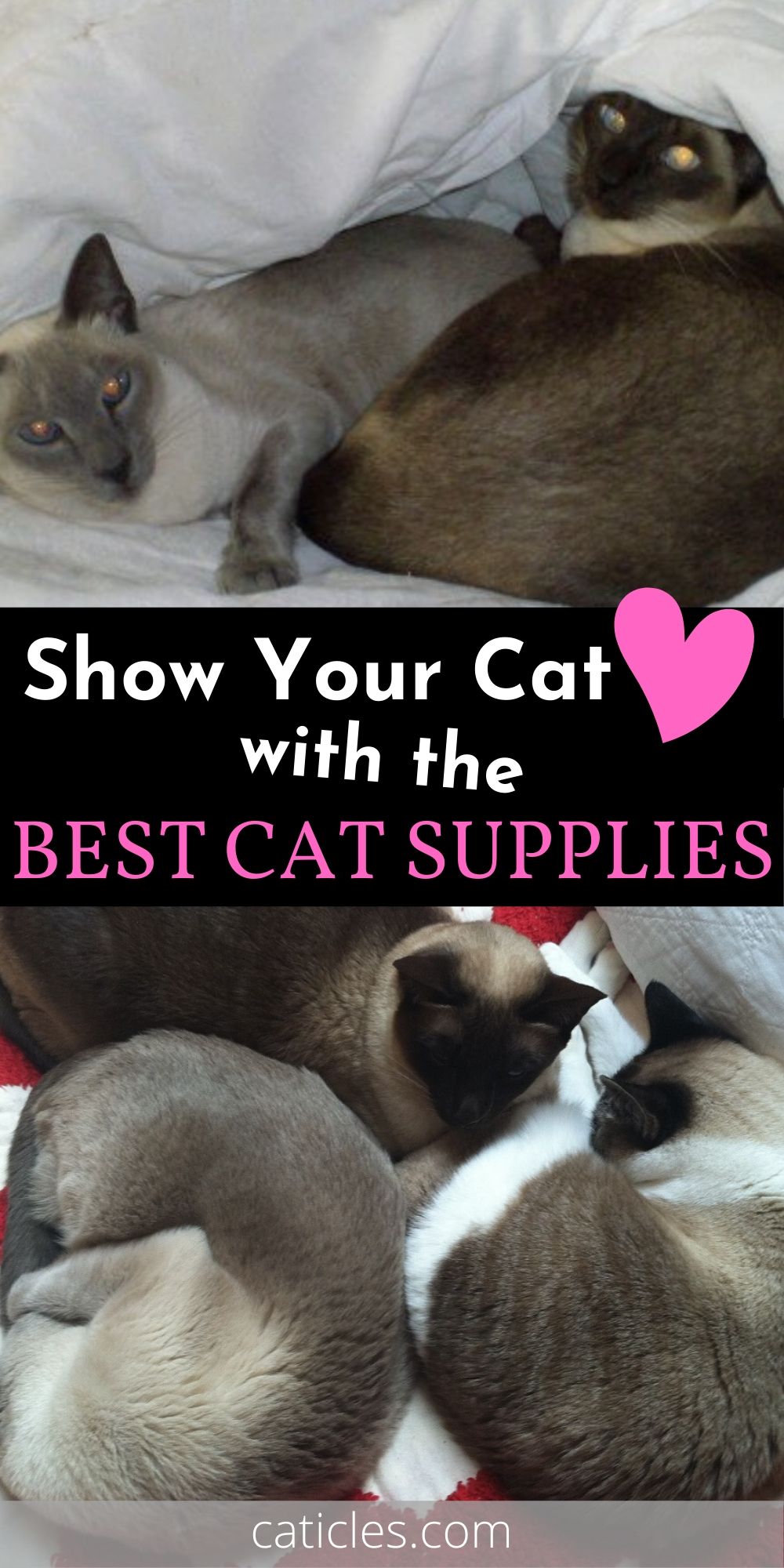 Cat Supplies: A Complete List of Everything You Need - Caticles