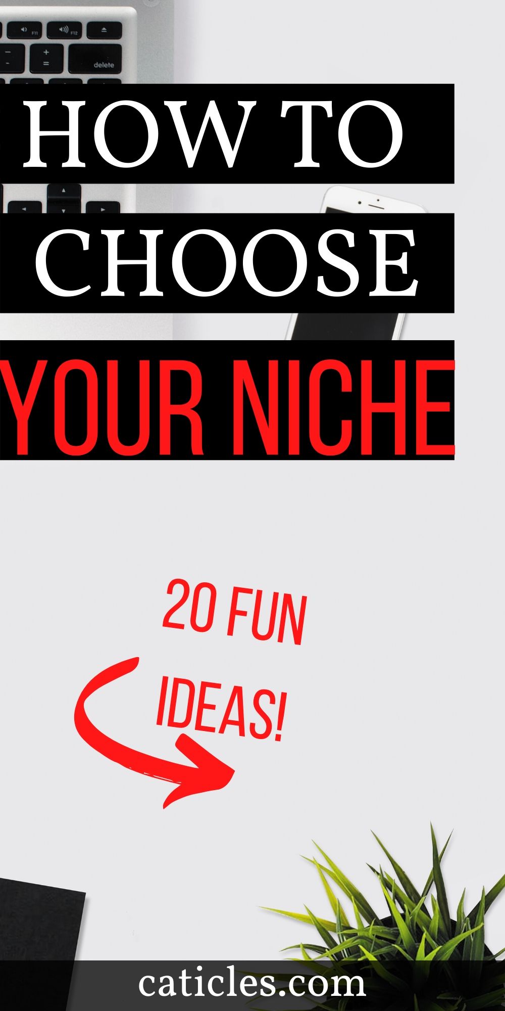 Start a Blog Checklist and 20 Money-Making Niche Topic Ideas - Caticles