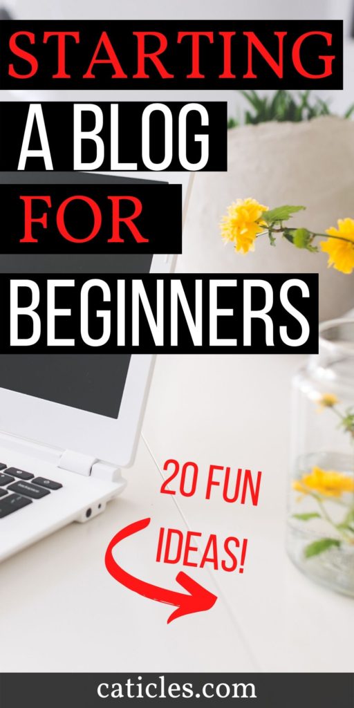 Start a Blog Checklist and 20 Money-Making Niche Topic Ideas - Caticles