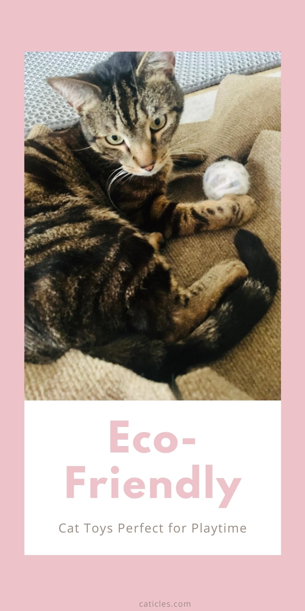 Top 13 Eco-Friendly Cat Toys and Products [2021 Guide]