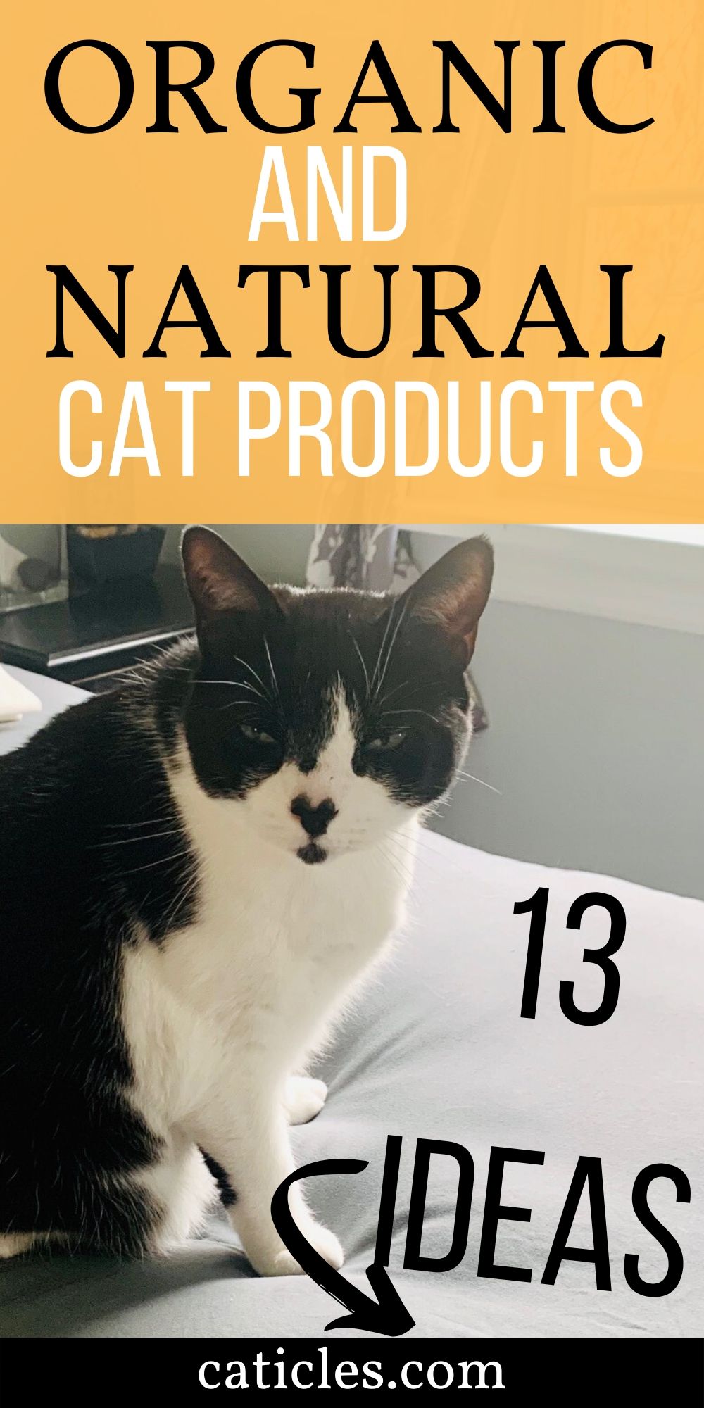 Top 13 Eco-Friendly Cat Toys and Products [2021 Guide]
