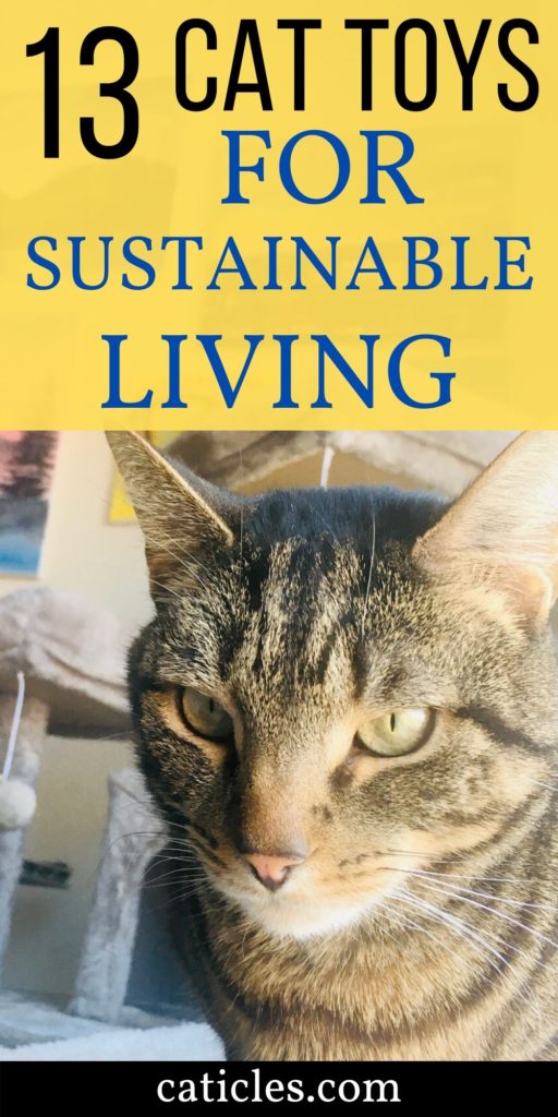 Top 13 Eco-Friendly Cat Toys and Products [2021 Guide]