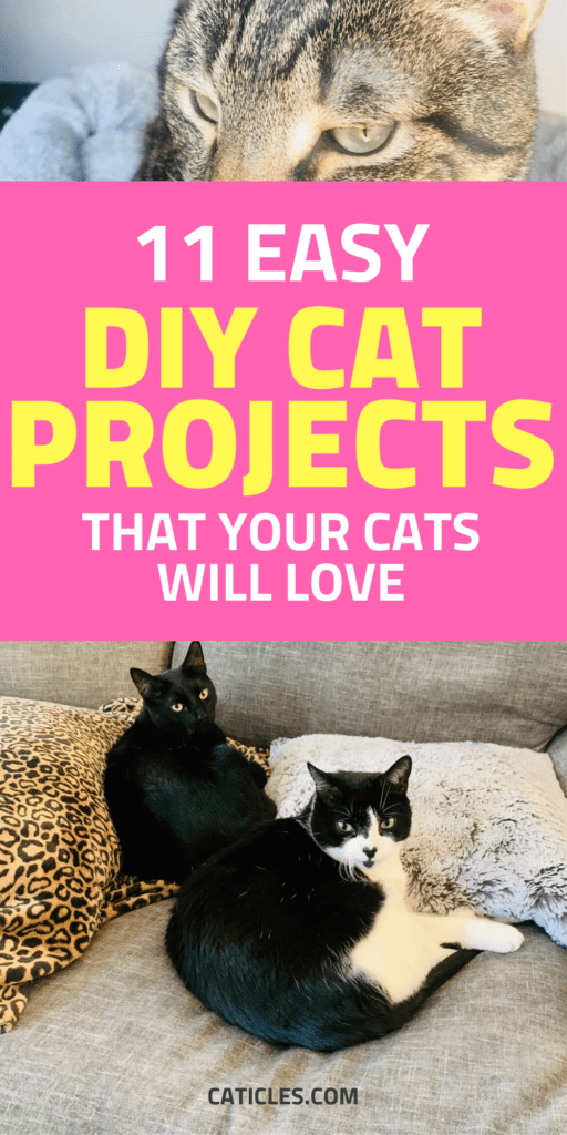 Easy DIY Cat Projects | Cat Toys, Window Perch, Catios, and More - Caticles