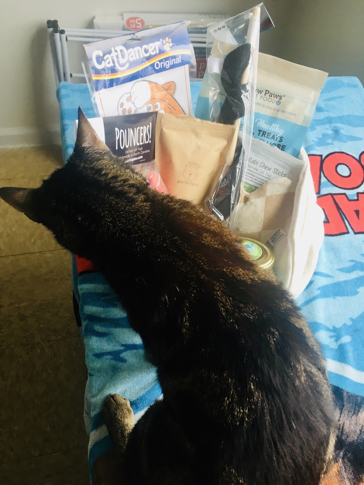 Cat Gift Basket Ideas Cat Treats and Gifts for Cats - Caticles