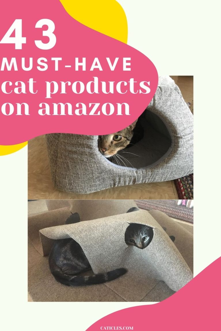 43 Best Cat Products on Amazon [2025 Must-Have Guide]