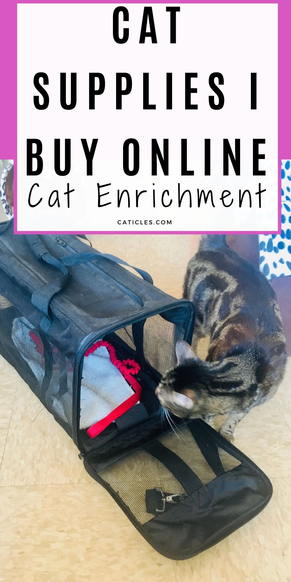 Best Cat Supplies Everything a Cat Needs That You Should Buy - CATICLES