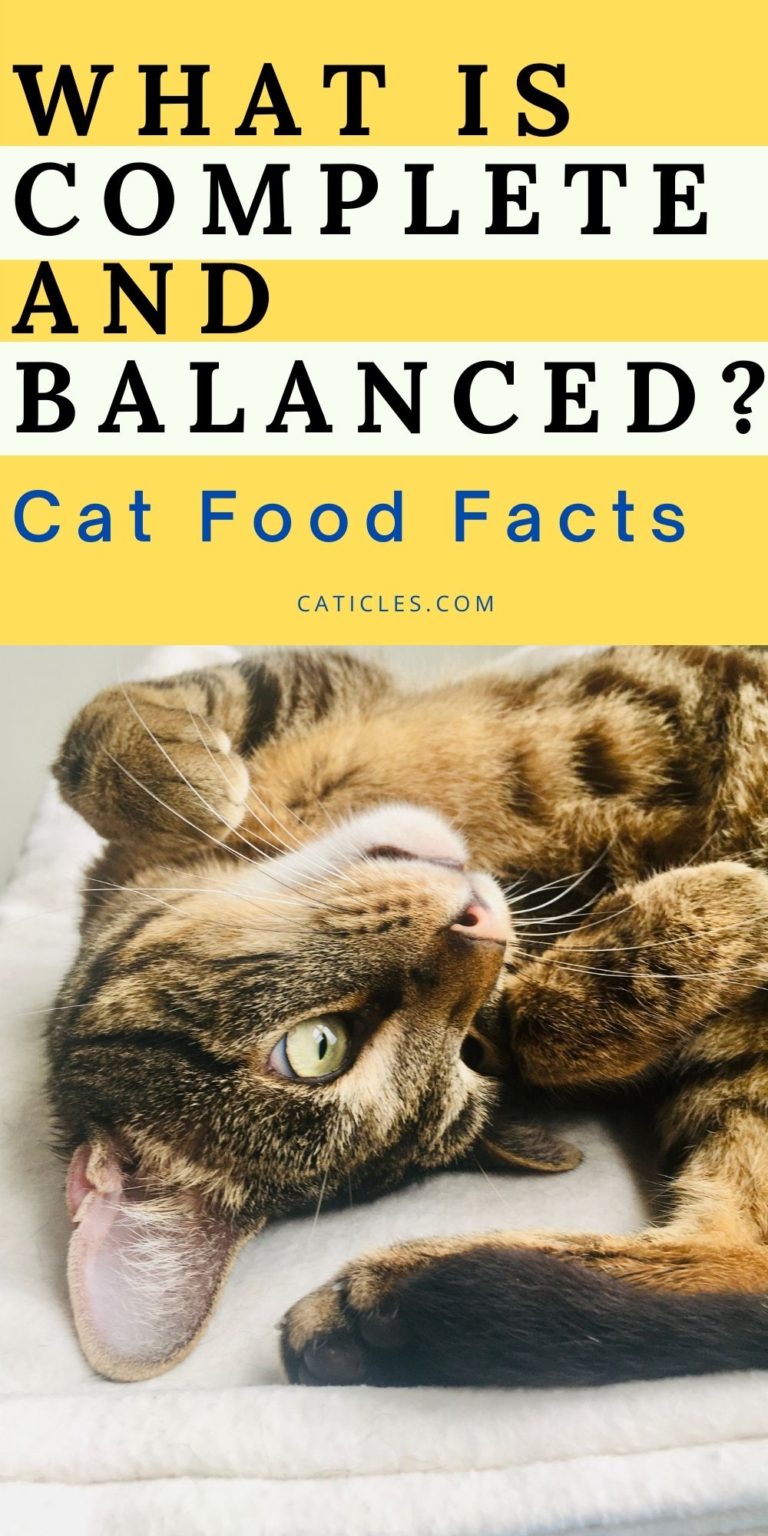 What Are AAFCO Feeding Trials For Cat Food Jess Caticles what-are-aafco-feeding-trials-for-cat-food-jess-caticles