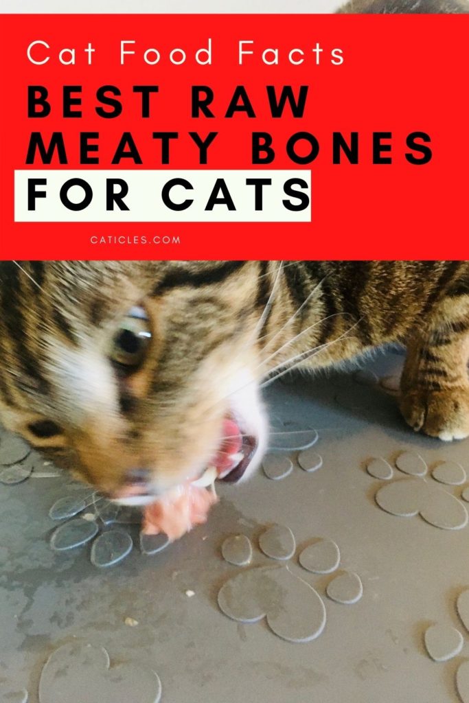 Raw Bones for Cats, Are There Bones for Cats to Chew On?