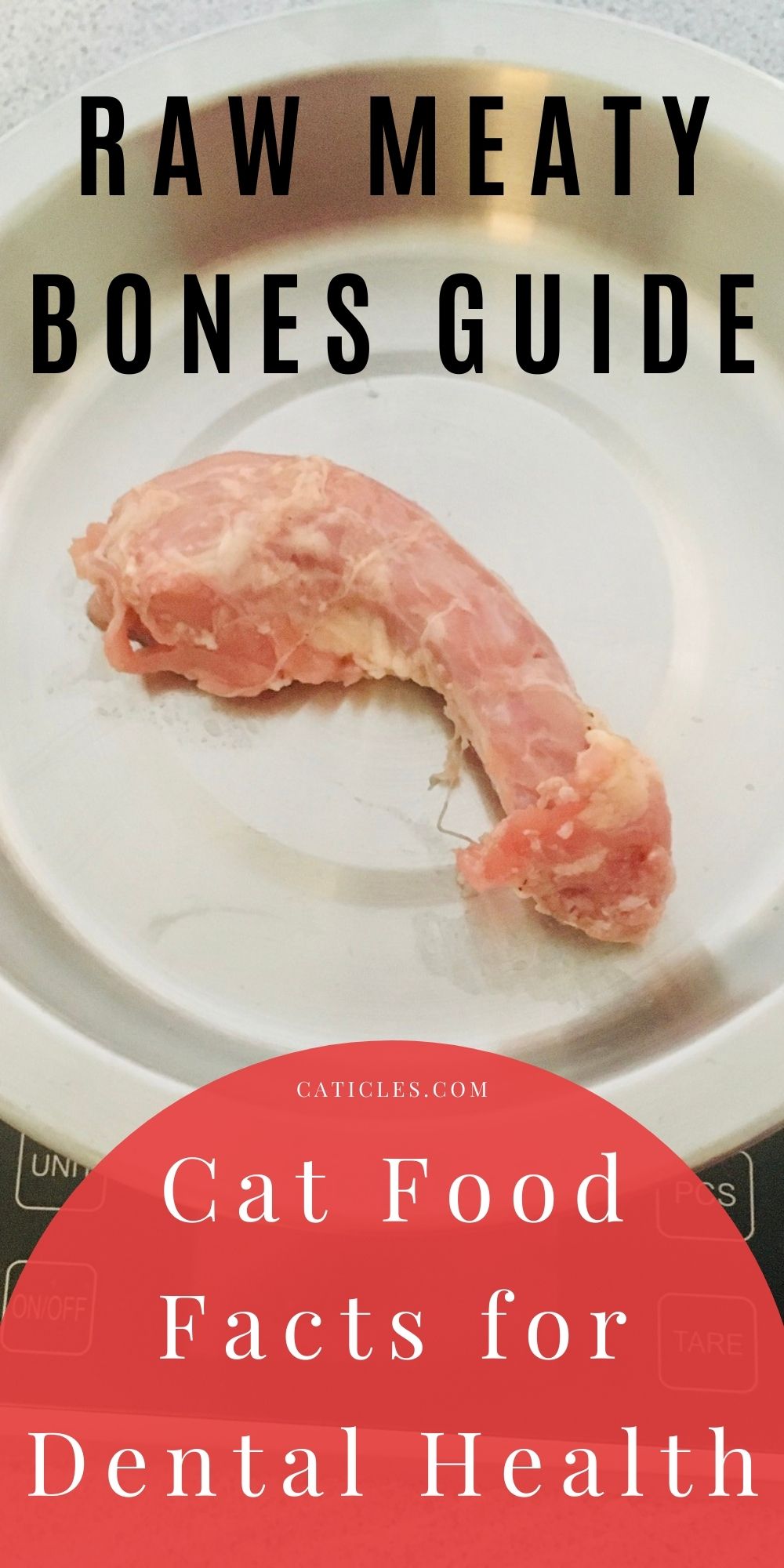 Raw Bones for Cats, Are There Bones for Cats to Chew On?