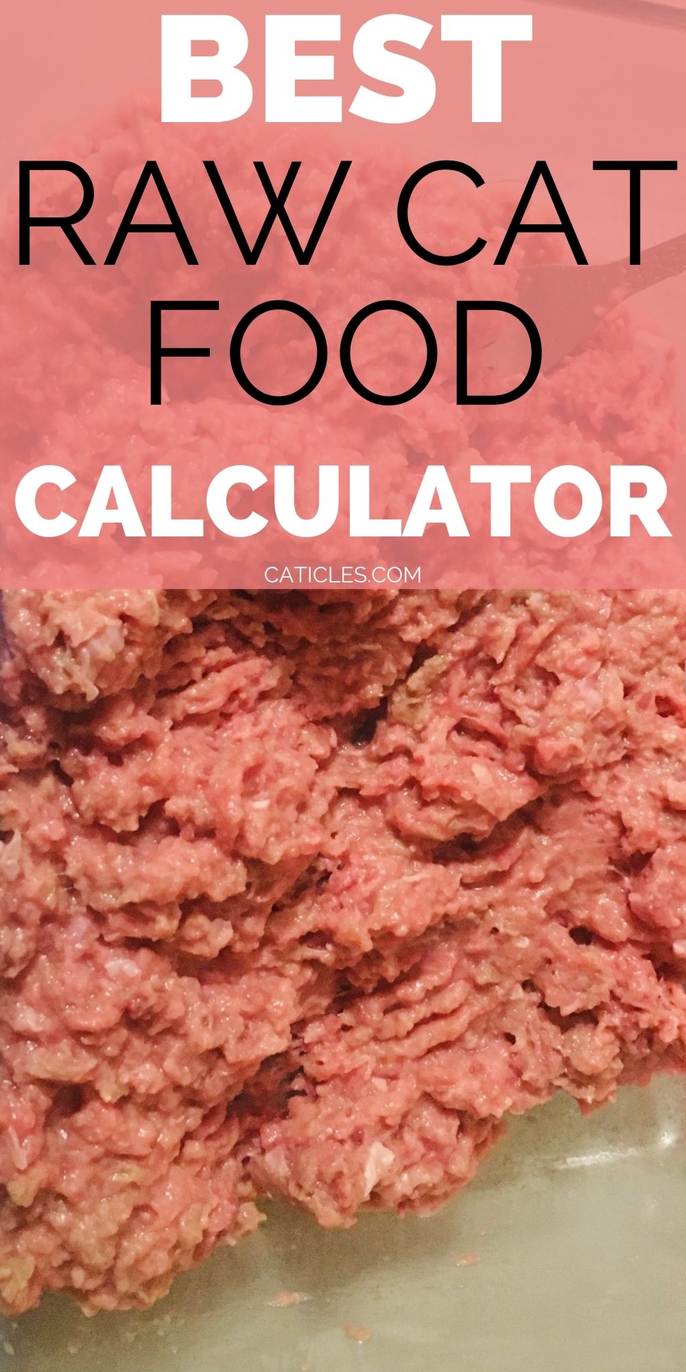 Raw Cat Food Calculator How Much to Feed and Cost of Raw