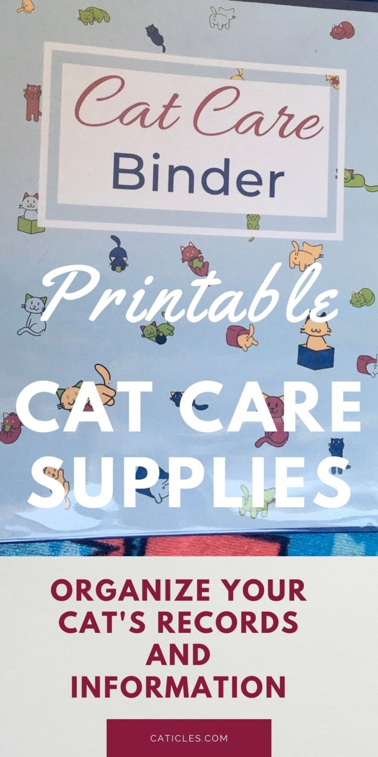Cute Cat Care Binder Printables DIY Records Organization